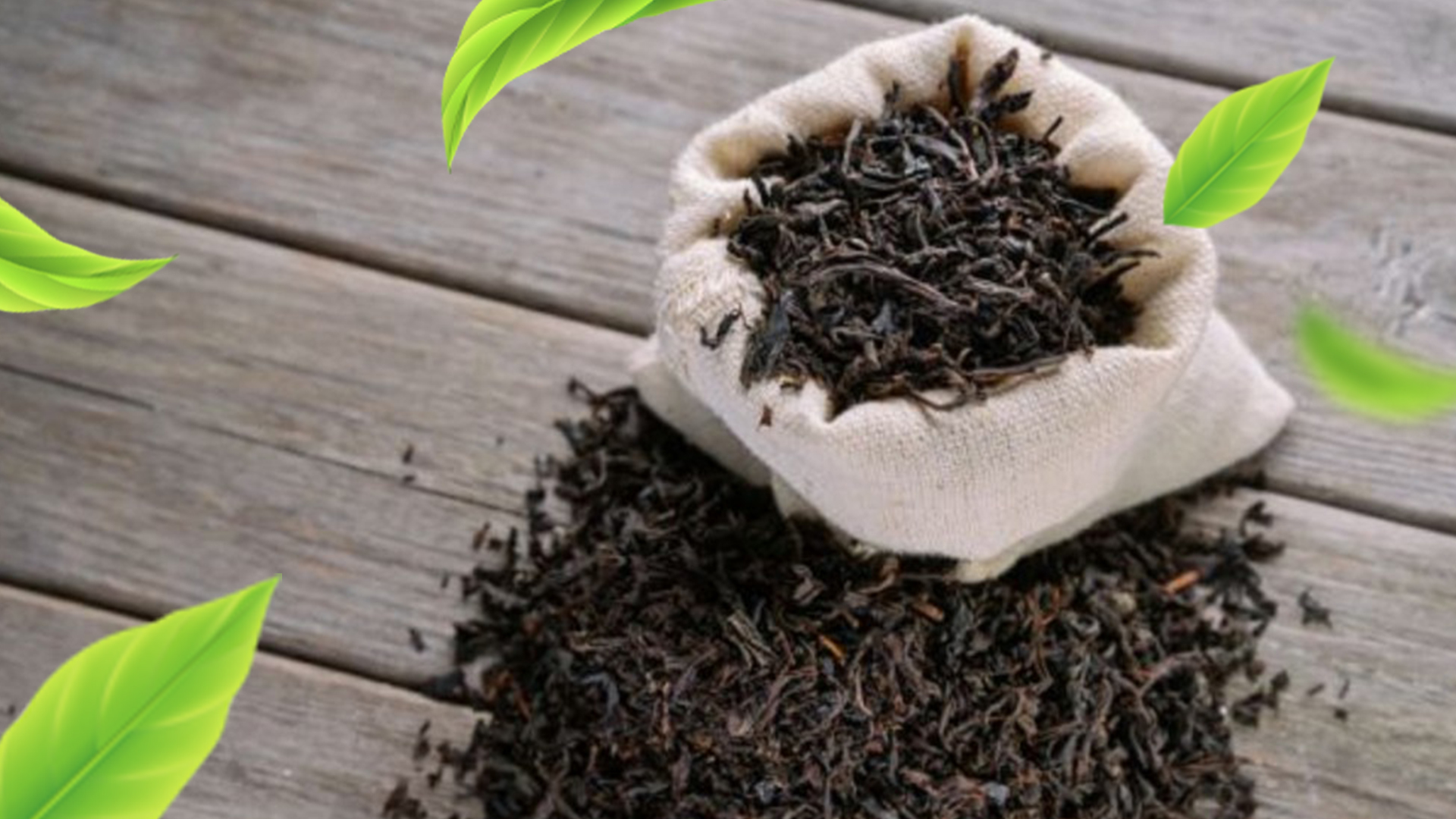 Products | Tree Commodities (Pvt) Ltd